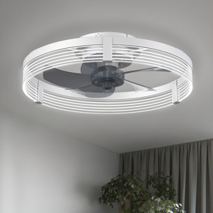 Indoor Ceiling Fans You'll Love
