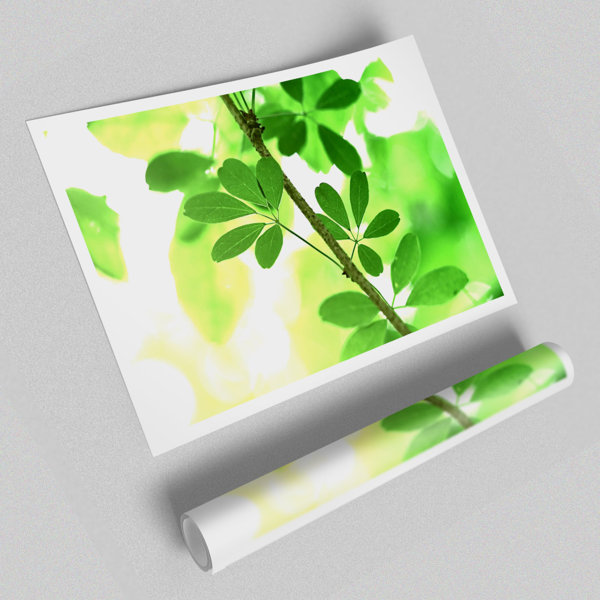 East Urban Home Spring Has Sprung Flowers - No Frame Print | Wayfair.co.uk