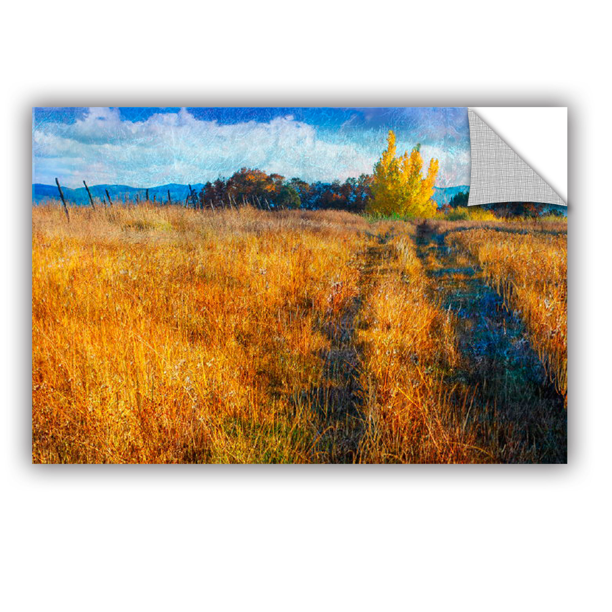 ArtWall Path at Van Pelts Removable Wall Decal - Wayfair Canada
