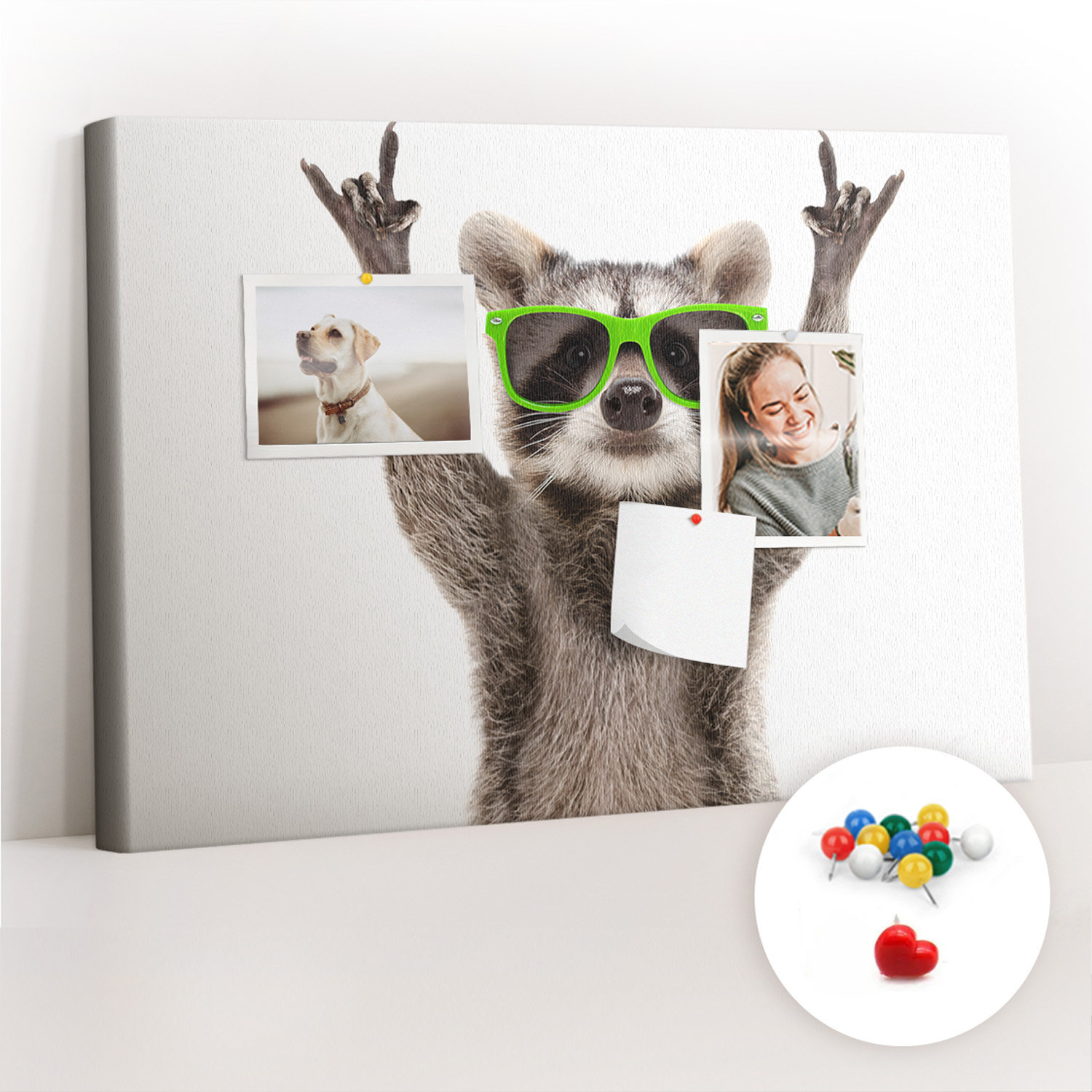 East Urban Home Aneysha Raccoon in Glasses Wall Mounted Cork Board ...