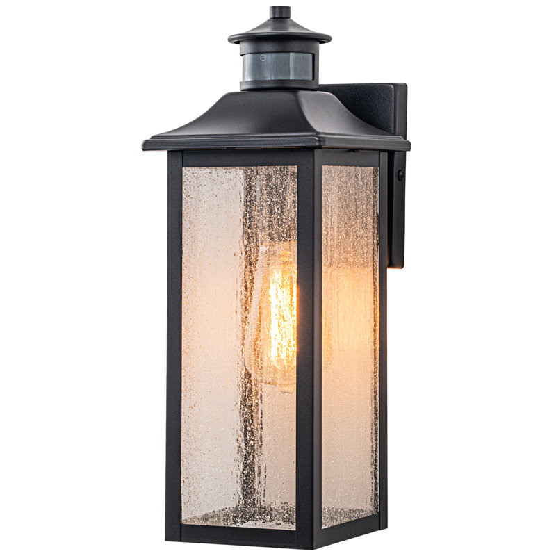 Lark Manor™ Anrea Iron Wall Light & Reviews | Wayfair