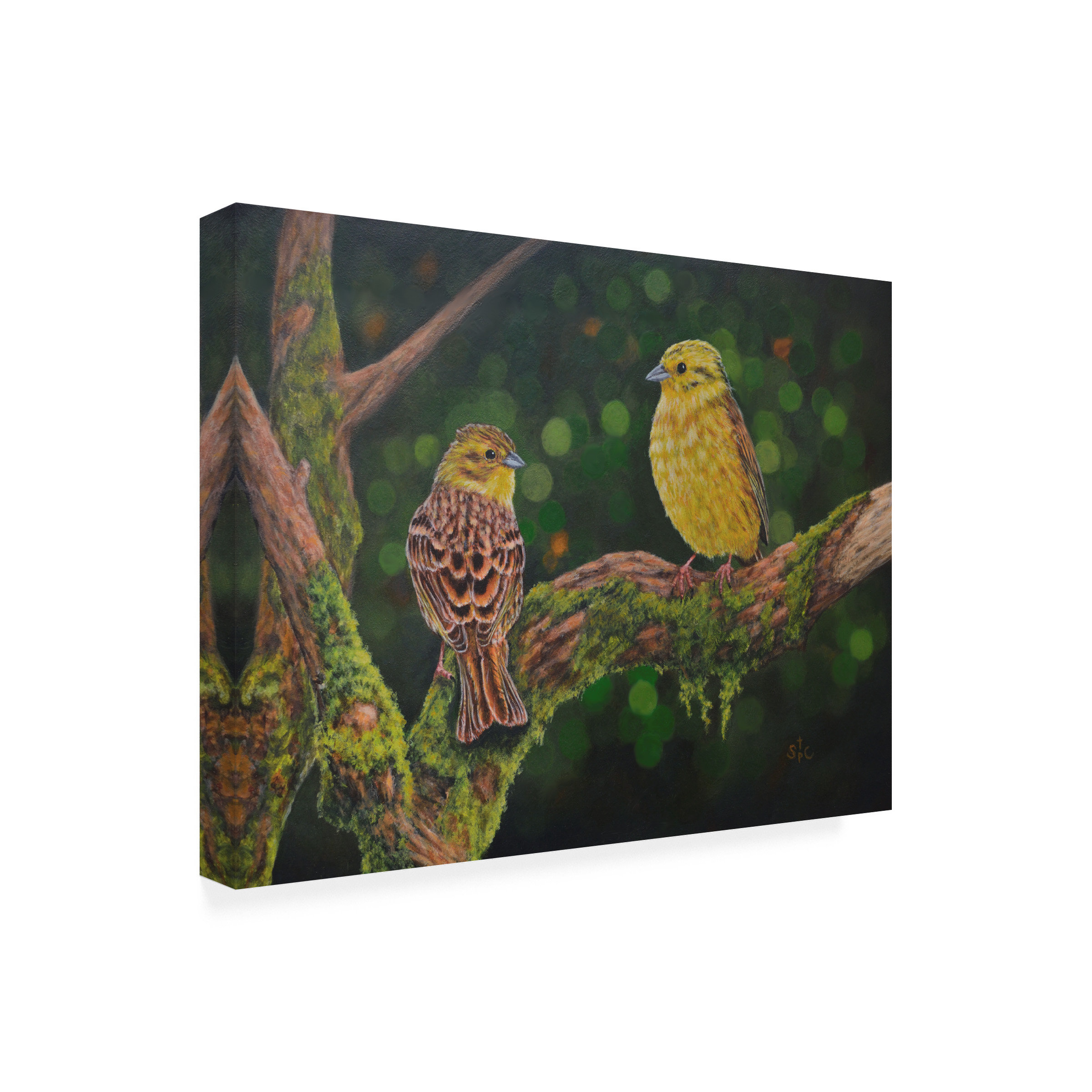 Millwood Pines Yellow Hammer Birds On Canvas by Steve Crockett Canvas ...