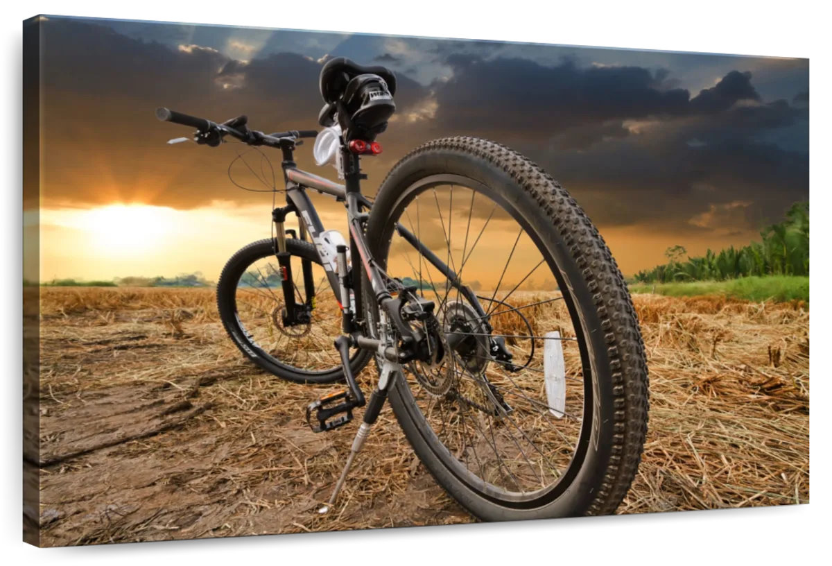 Ebern Designs Mehar Sunset Over Bicycle | Wayfair