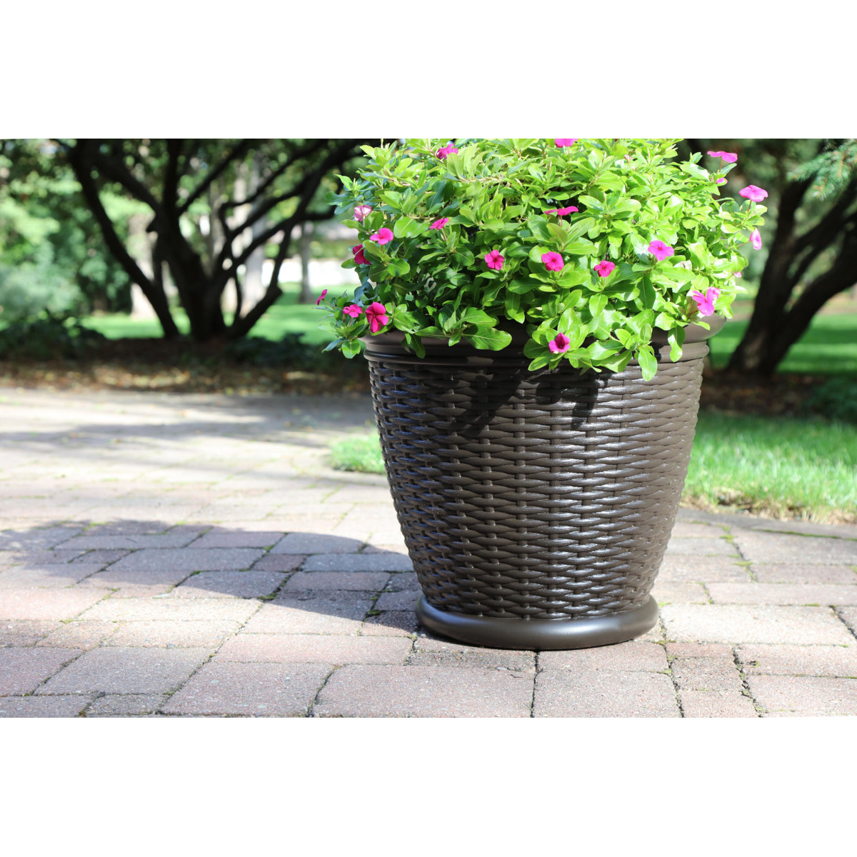 Suncast Willow 2-Piece Resin Pot Planter Set & Reviews | Wayfair