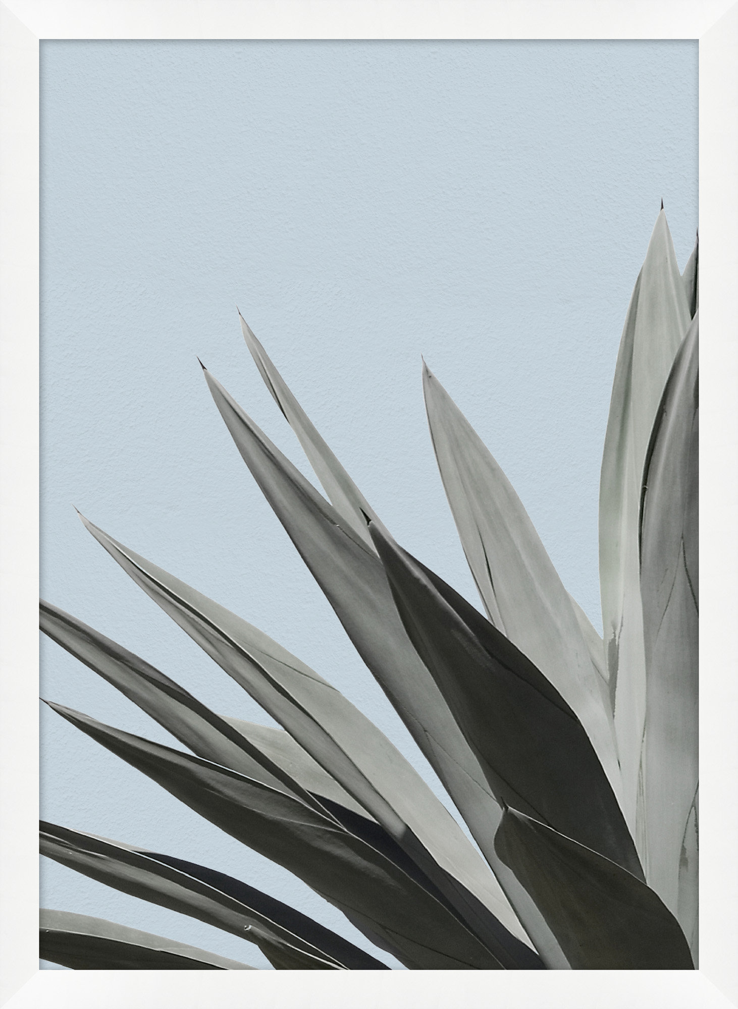 Wendover Art Group Agave Color 5 | Wayfair