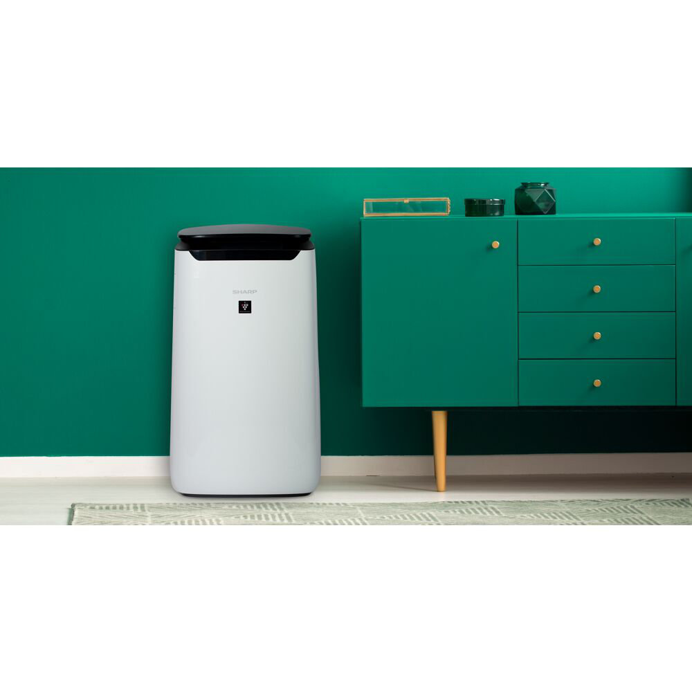Sharp Plasmacluster Ion Air Purifier and True HEPA for Large Rooms 502 ...