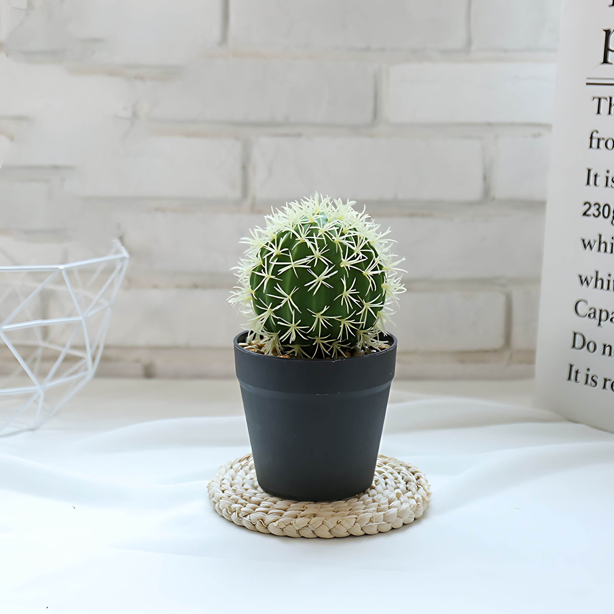 George Oliver Nordic Cactus Succulent Artificial Flower Simulation ...