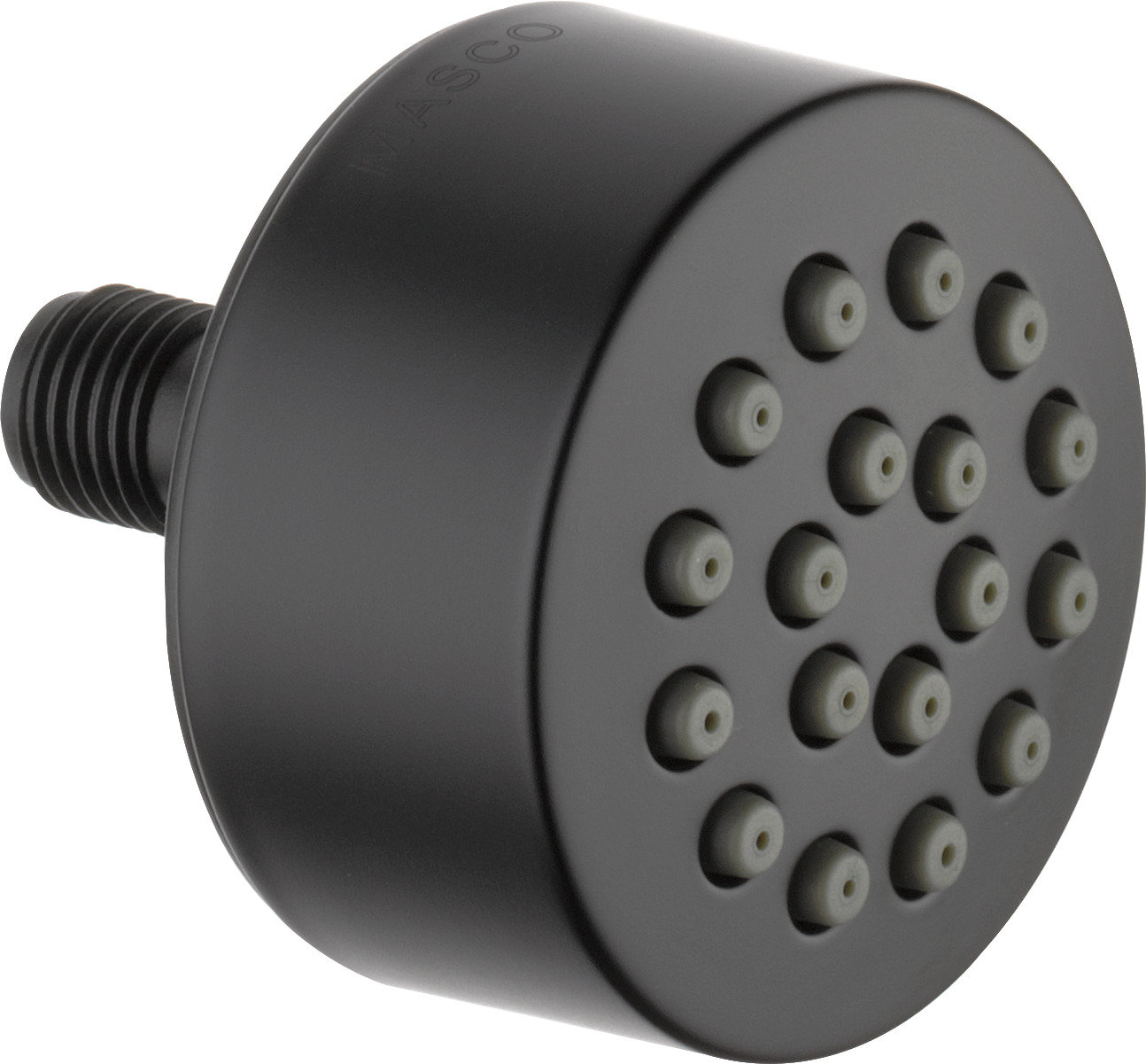 Delta Hydrachoice Full Body Spray | Wayfair