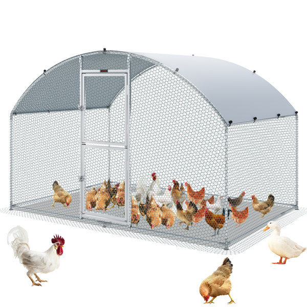 Tucker Murphy Pet™ Darzell Chicken Coop with Chicken Run | Wayfair