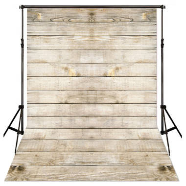 ANMINY Scene Setter & Reviews | Wayfair