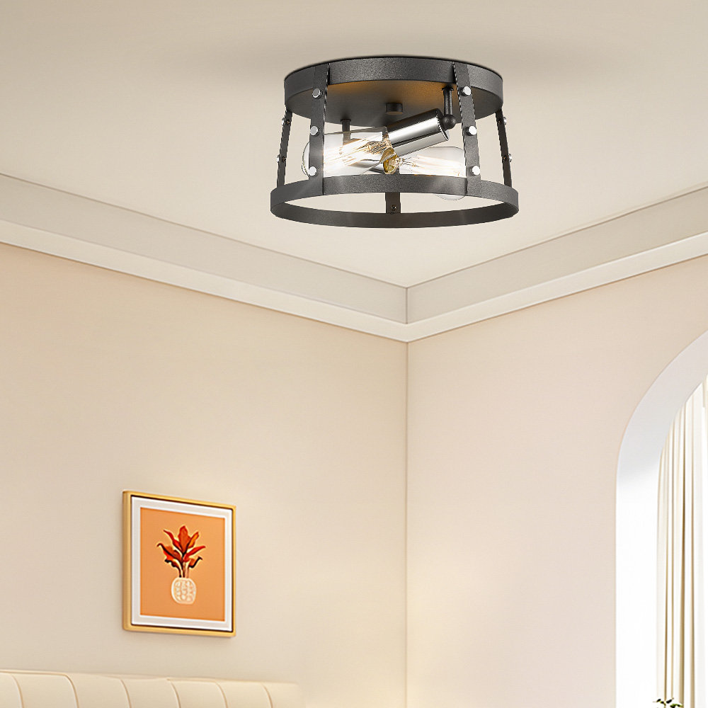 17 Stories Modern Cage Ceiling Light Punk Flush Mount Light for Bedroom ...