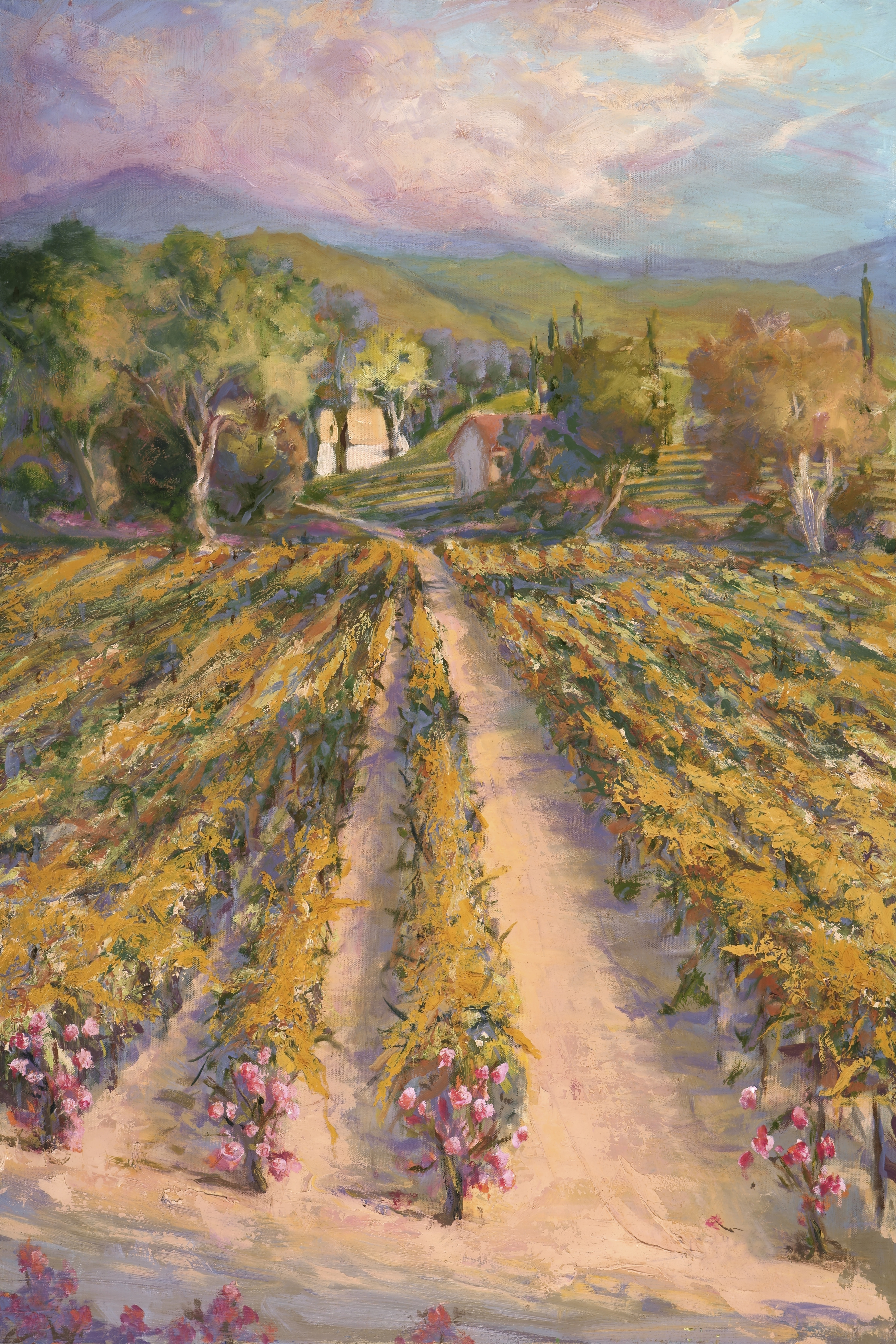 Wall Art Production Network Tranquil Wine Country II by Debbie Kiggins ...