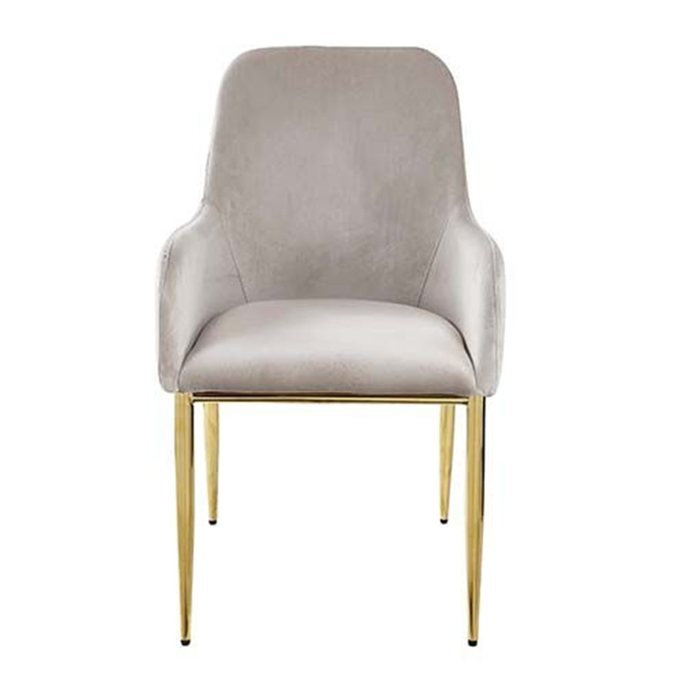 Everly Quinn Barnard Upholstered Arm Chair in Gray and Mirrored Gold ...