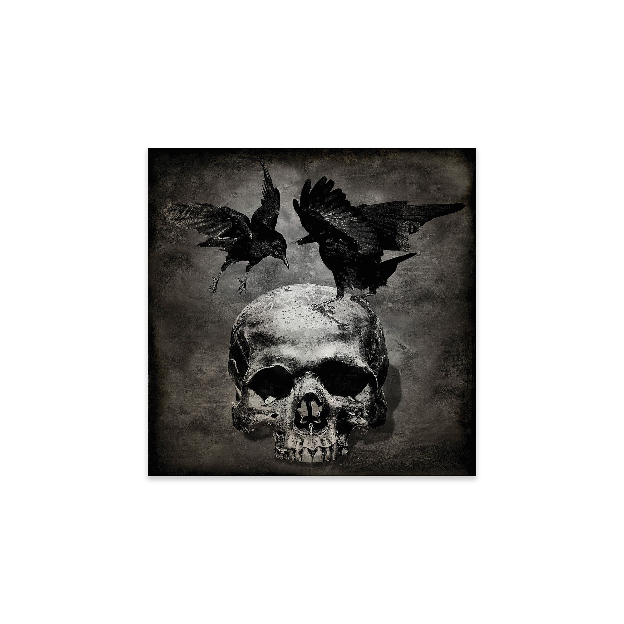 Trinx Skull With Crows Print On Acrylic Glass - Wayfair Canada