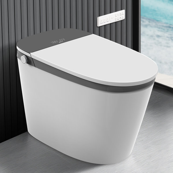 Bidet Toilets | Wayfair