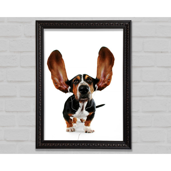 Bright Star Basset Hound Music - Single Picture Frame Art Prints ...