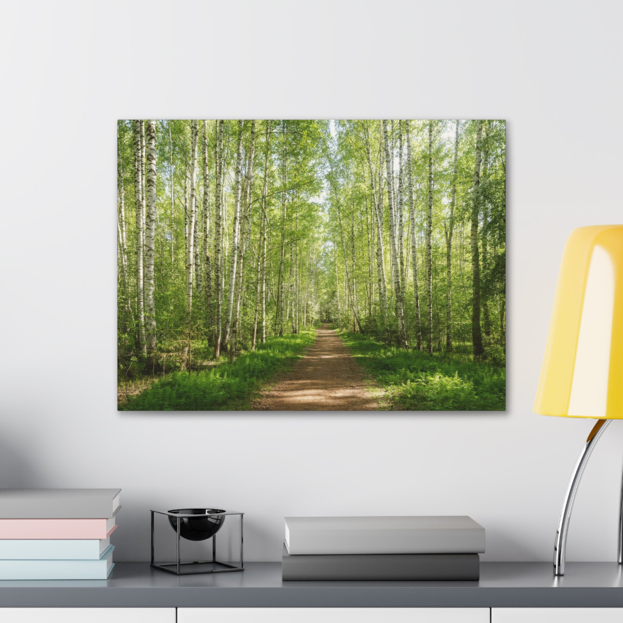 Millwood Pines Forest Path Green Tree Nature Wilderness Photography ...