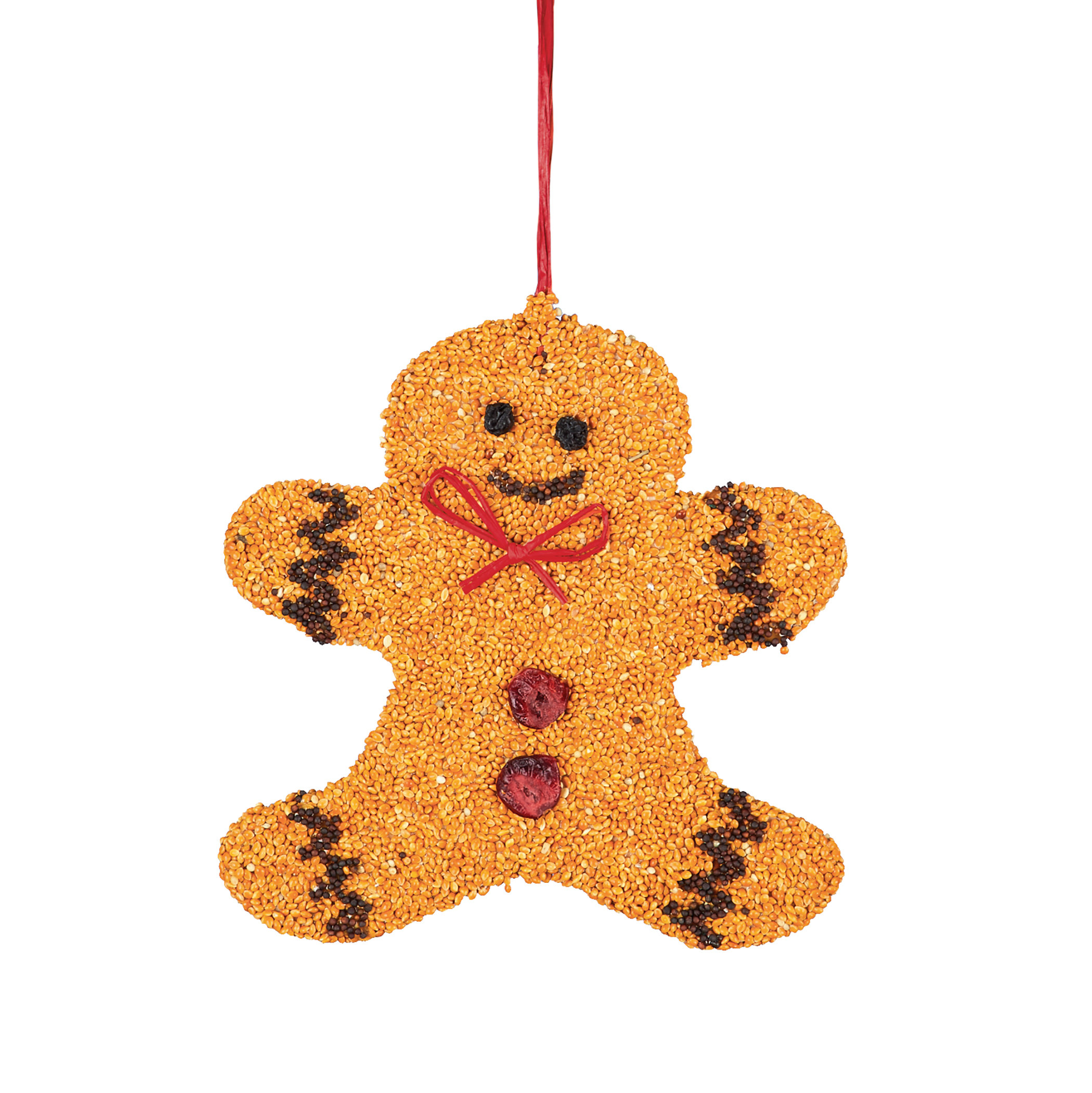 Ophelia & Co. Festive Hanging Gingerbread Man-Shaped Birdseed Bird ...