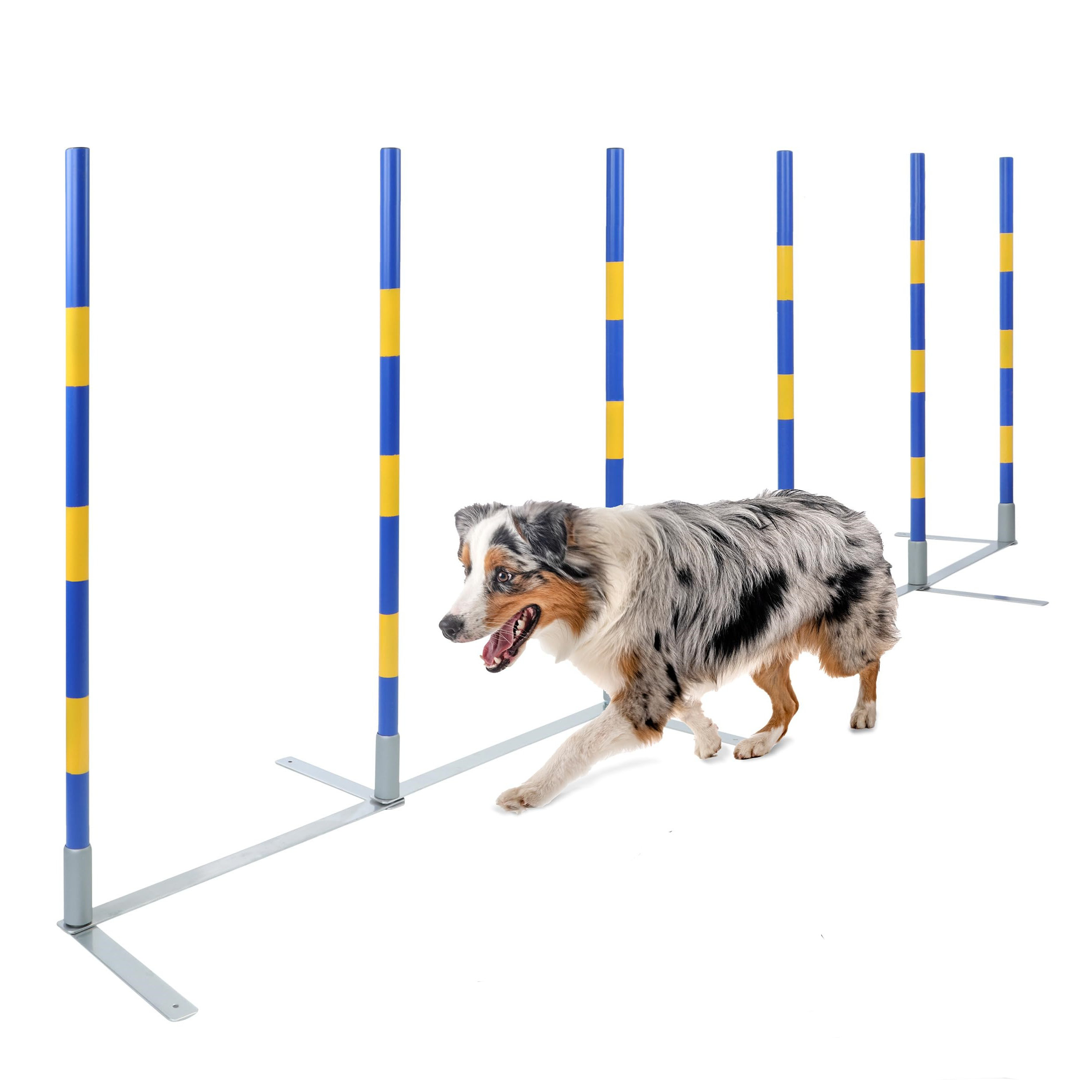 ATCHISON Dog Agility Equipment - Agility Set Dog Weaving Poles ...