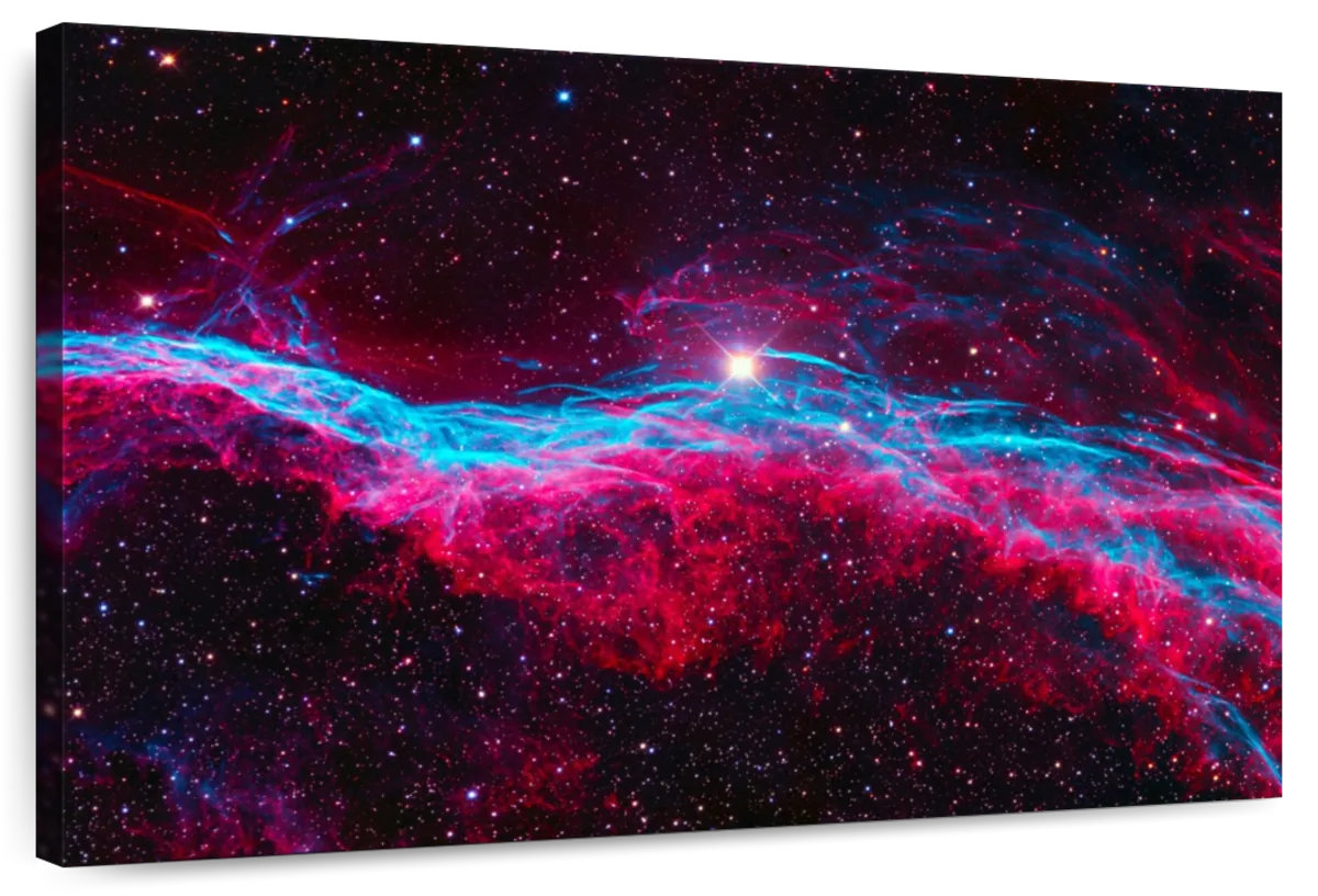Elephant Stock The Veil Nebula | Wayfair