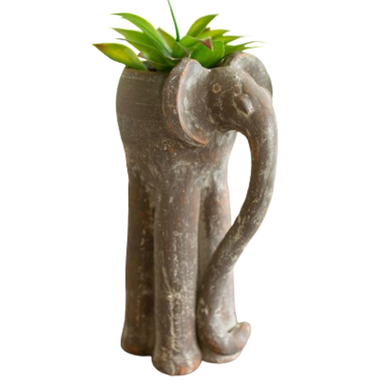 August Grove® Dayleon Decorative Object | Wayfair