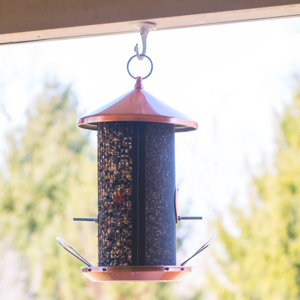 17 Stories Copper Finish Mesh Metal Dual Nut Hopper Bird Feeder ...