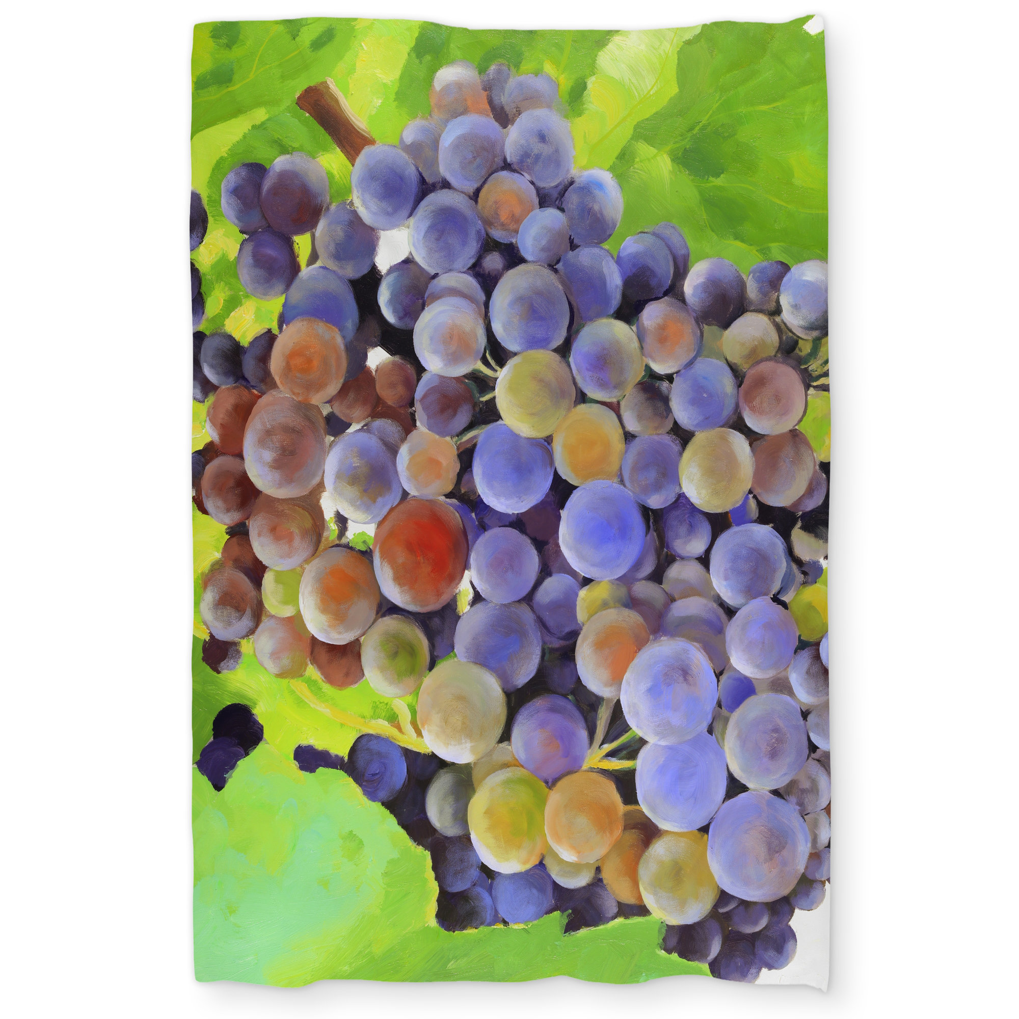 Begin Edition International Inc. Bunch of Grapes Illustrative Kitchen ...
