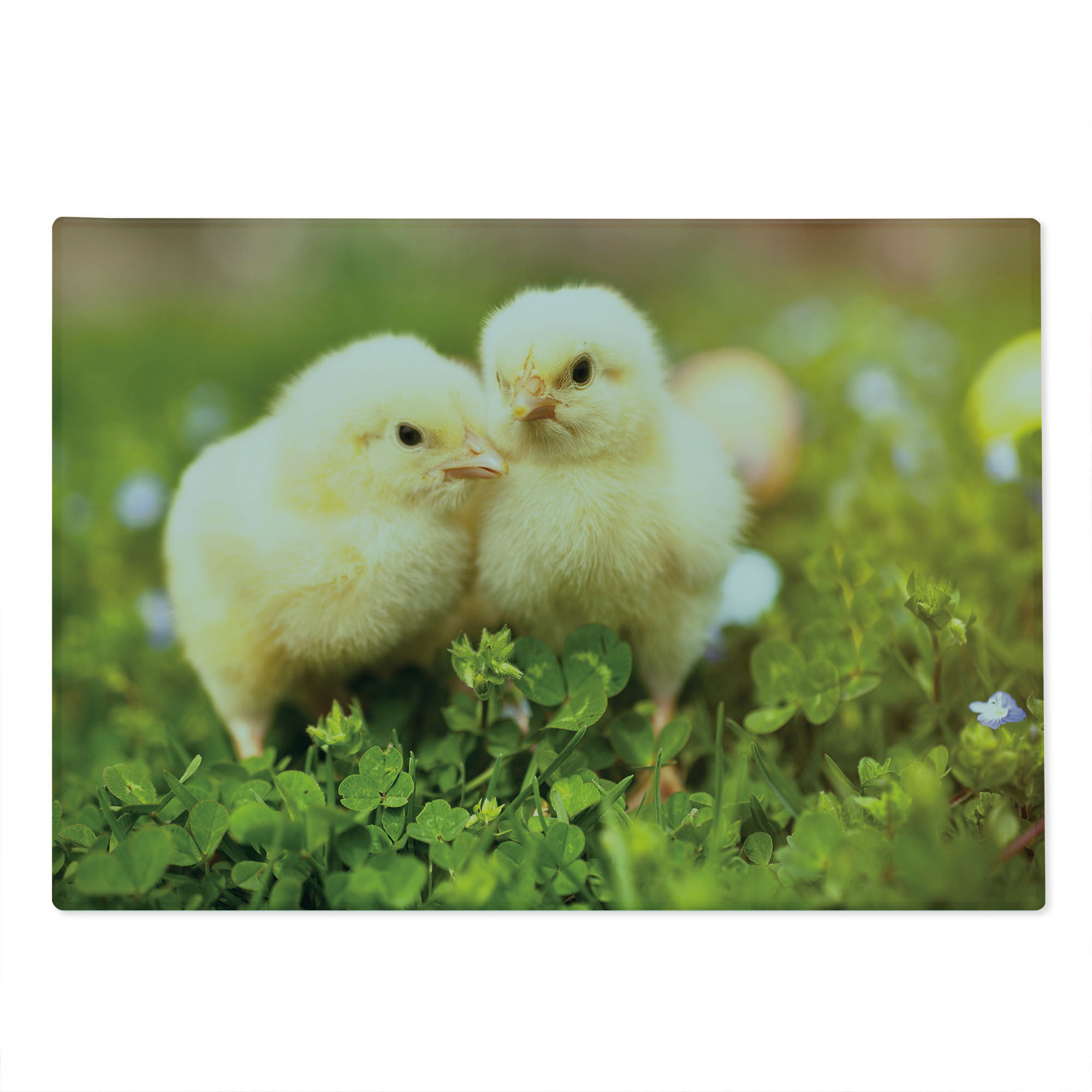 Ambesonne Chicks Cutting Board Large Size Chickens Photo Pale Yellow ...