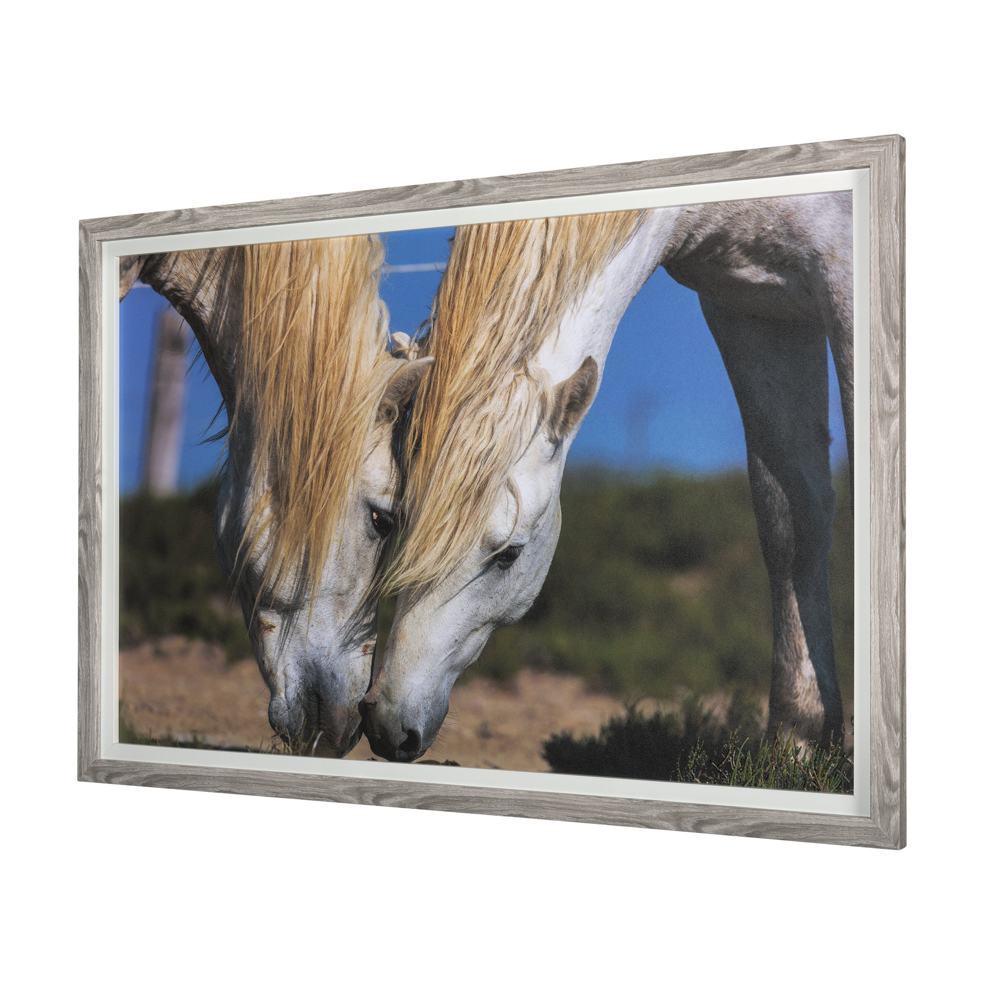 Trinx Nuzzled Together Framed On Paper Print | Wayfair