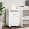 George Oliver Office Cabinet With Drawer And In White, Mobile Fits ...