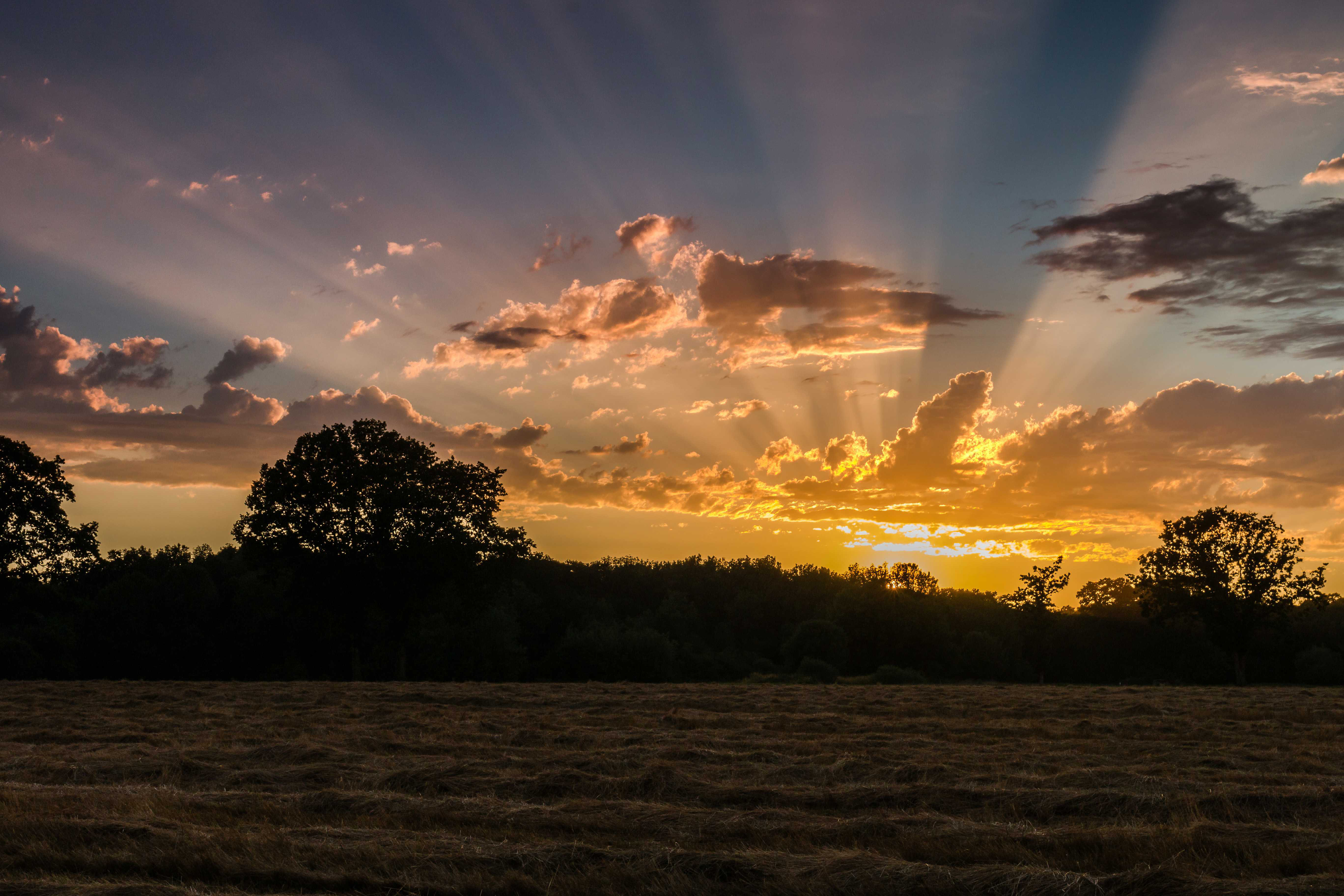 Ebern Designs Sunset Over Valley by - Wrapped Canvas Photograph ...