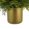 Primrue Kenley Outdoor UV Rated Ostrich Fern in Fiberstone Pot ...