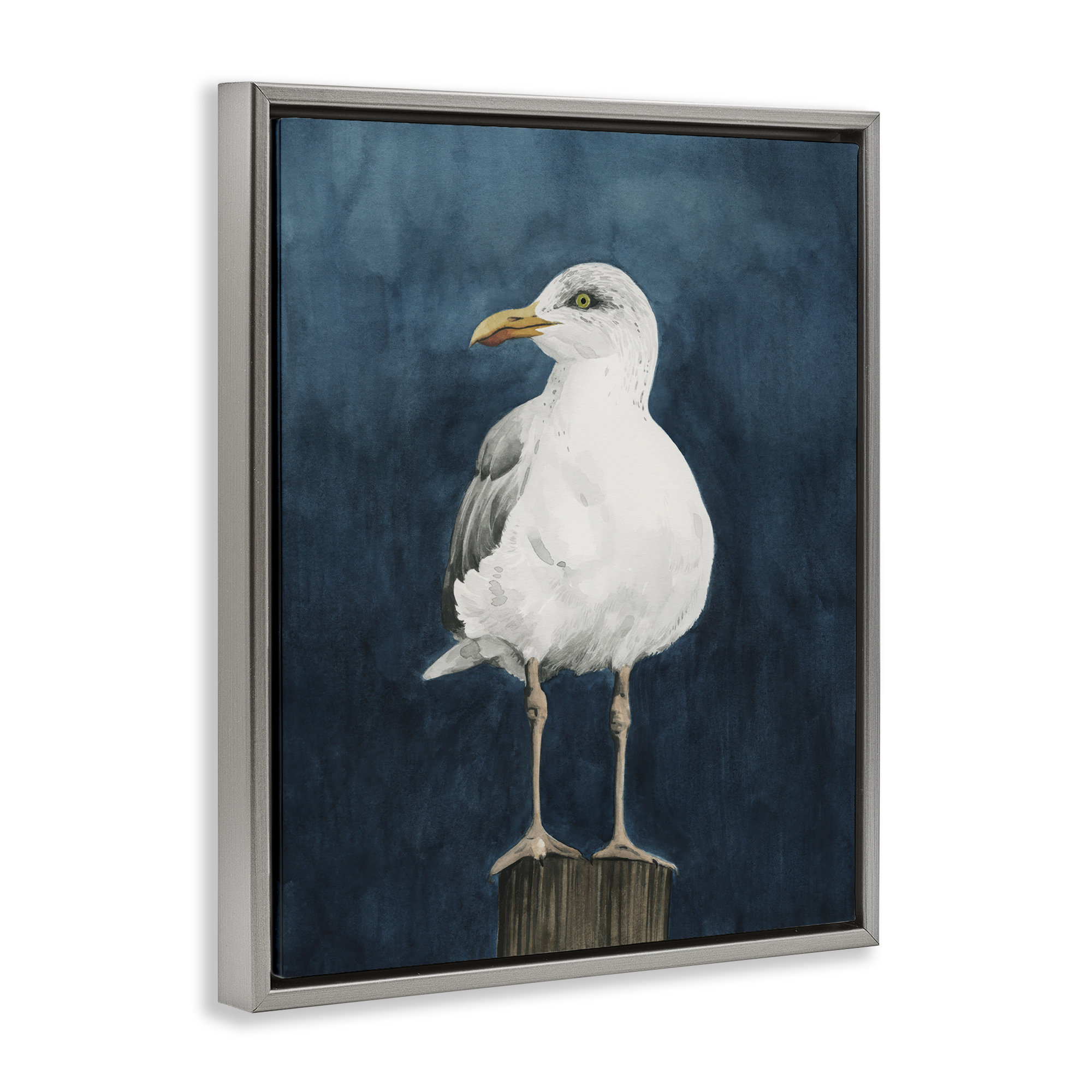 Dovecove Perched Coastal Bird Framed Floater Canvas Wall Art by Grace ...