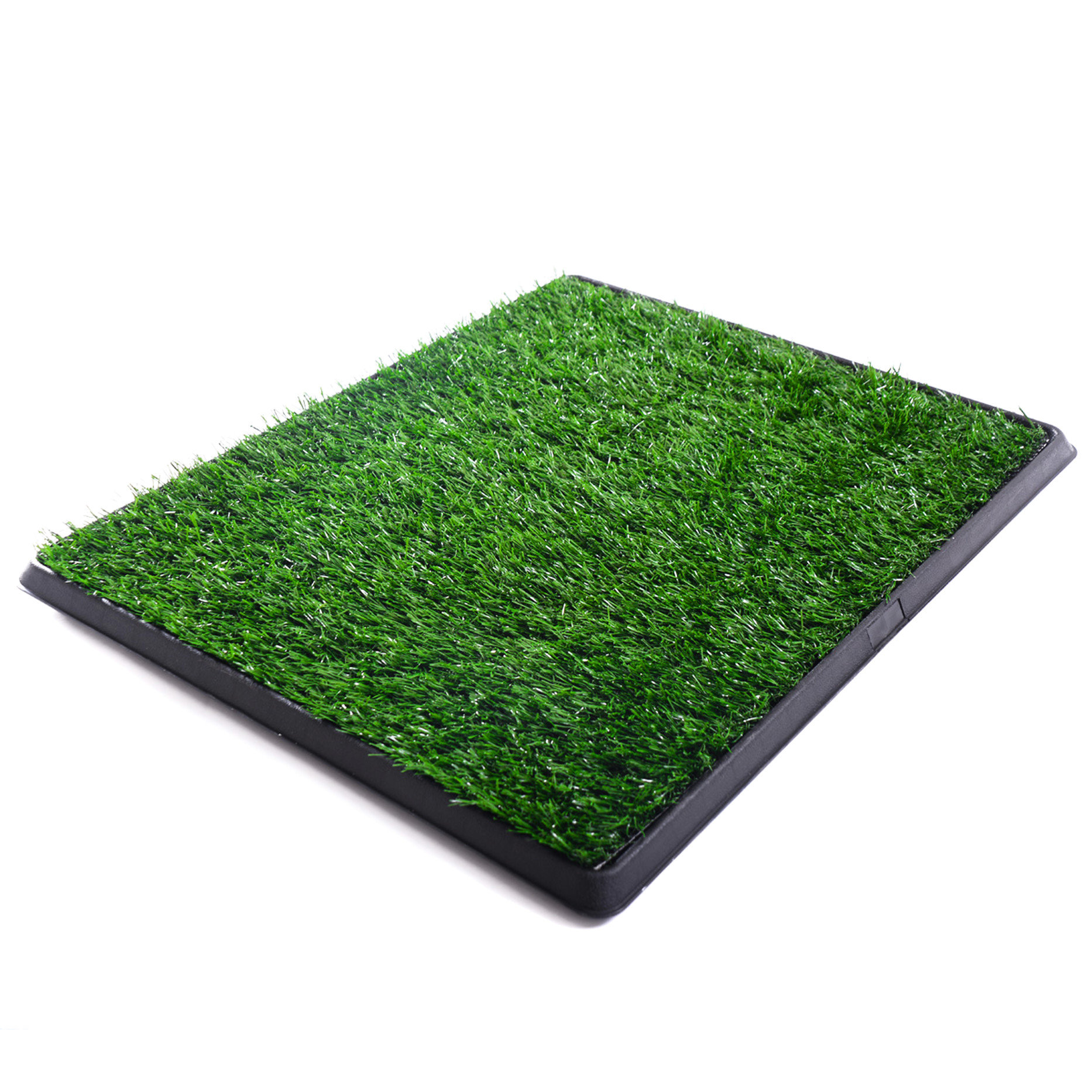 Archie & Oscar™ Artificial Turf Pet Toilet For Small And Medium Pets ...