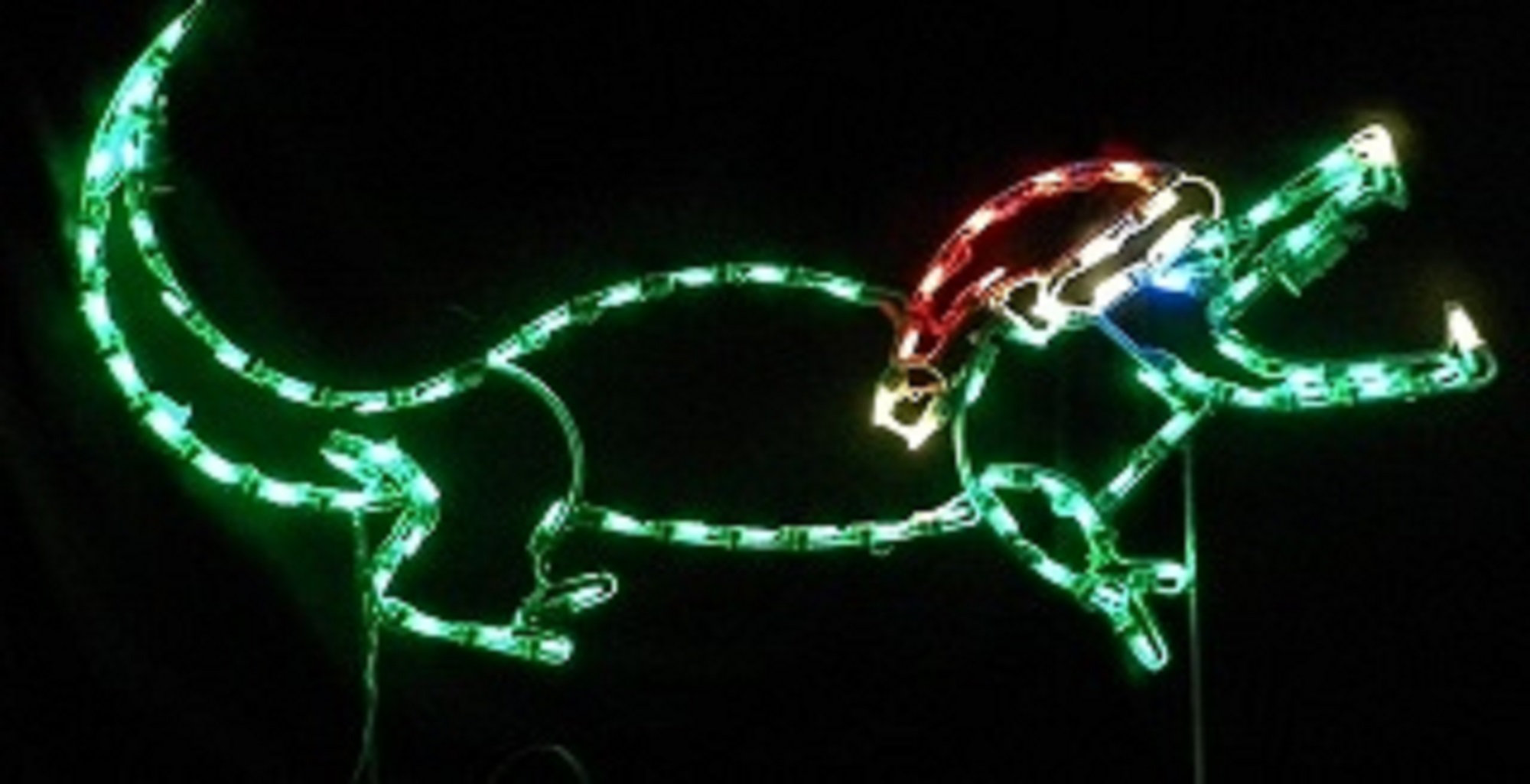 Lori's Lighted D'Lites Small Gator with Santa Hat Christmas Nautical ...