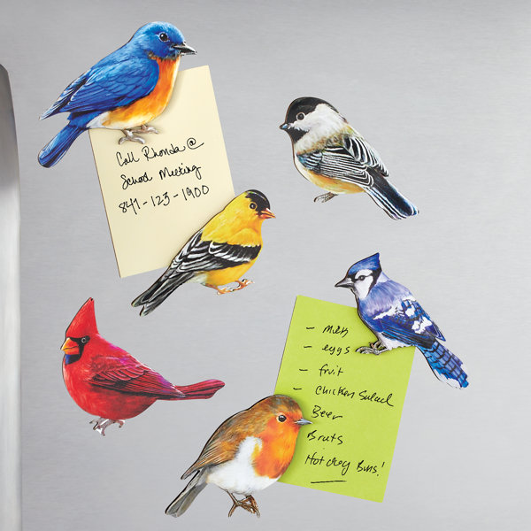 Winston Brands Detailed Wooden Bird Magnets - Set of 6 - Wayfair Canada