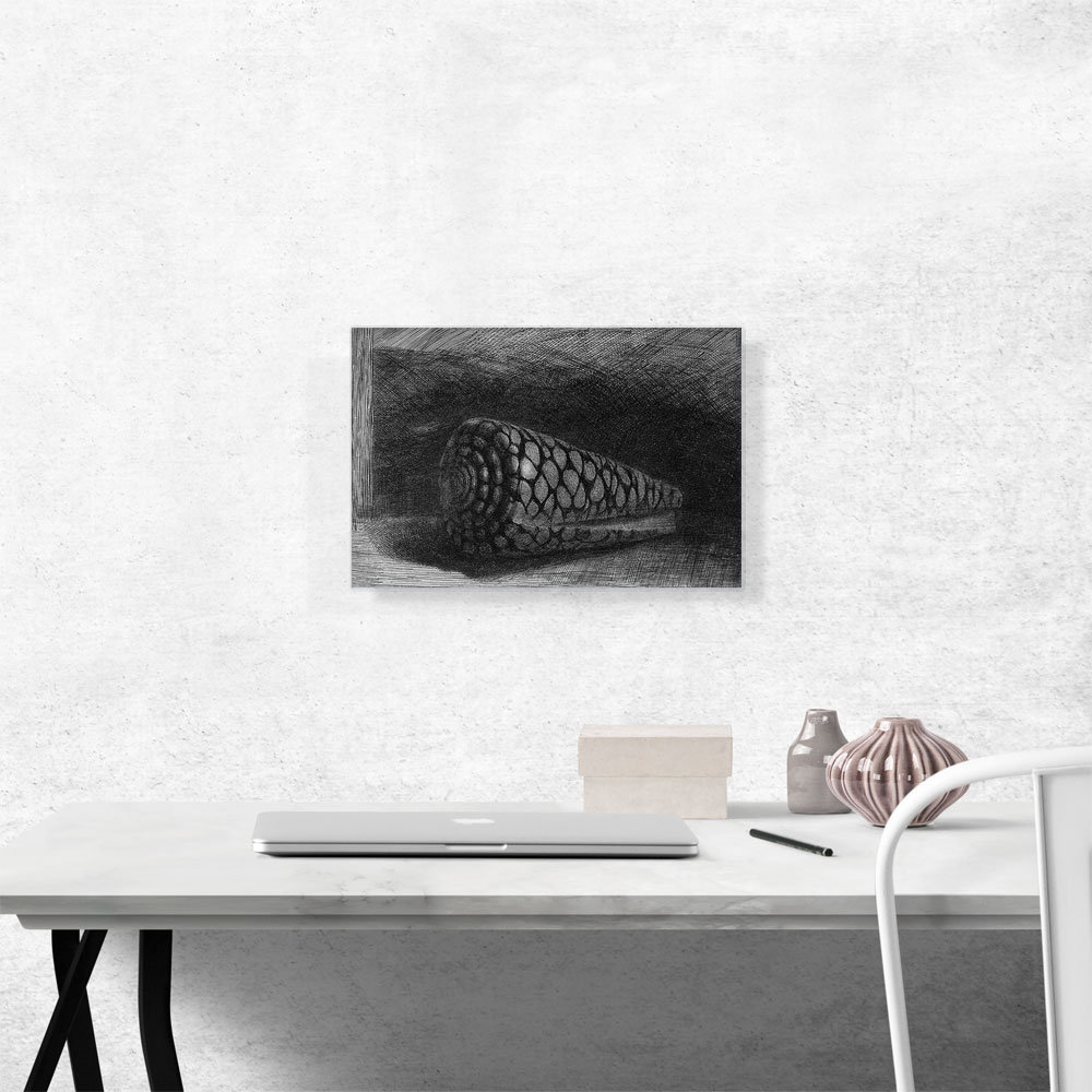 ARTCANVAS The Shell 1650 by Rembrandt van Rijn - Wrapped Canvas ...