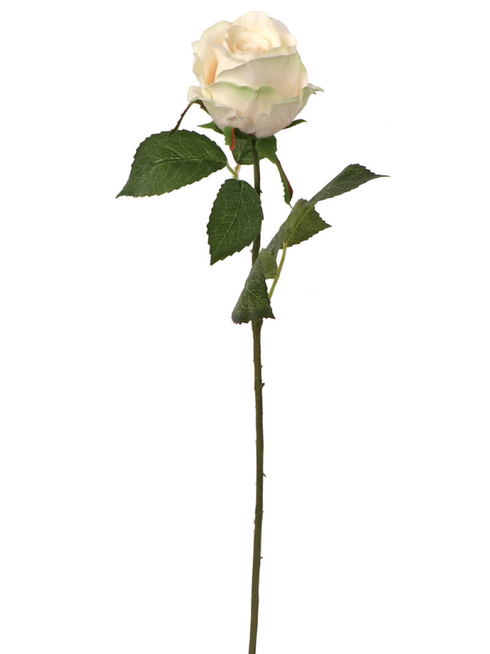 Primrue Nance Roses Stem | Wayfair
