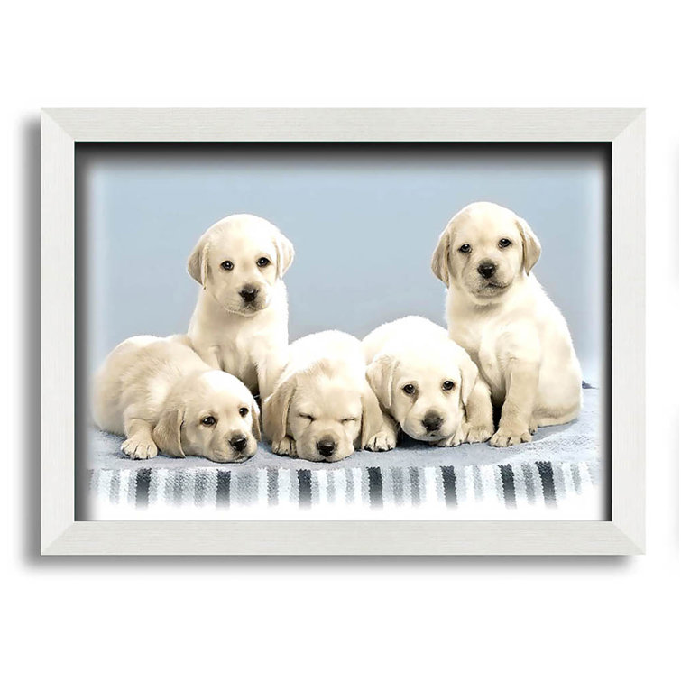 Latitude Run Meline Cute Puppies - Single Picture Frame Art Prints ...