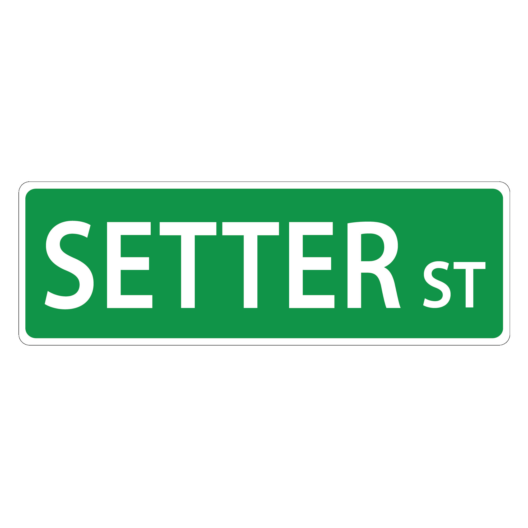Imagine This Company Setter Street Hanging Street Sign | Wayfair