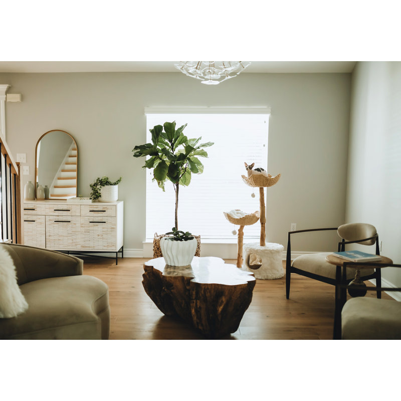 Tucker Murphy Pet™ 46" Seeman Double Branch Cento Cat Tree "& Reviews ...