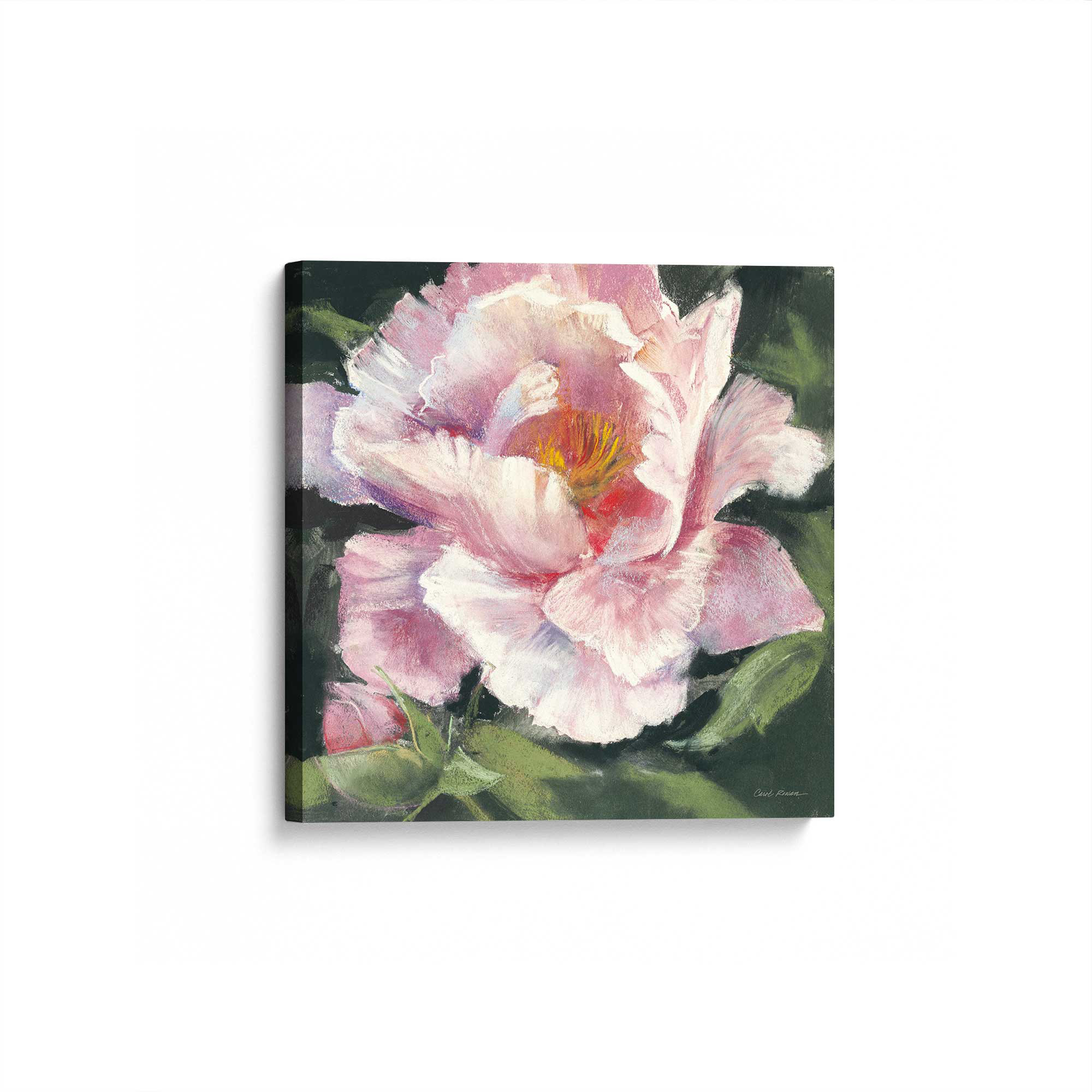 Winston Porter Peony II by Carol Rowan Canvas Art Print | Wayfair