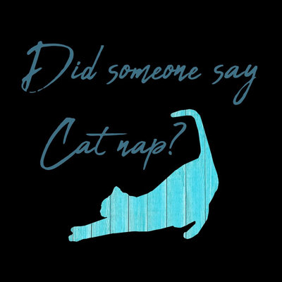 Trinx Cat Nap On Paper by Jamie Phillip | Wayfair