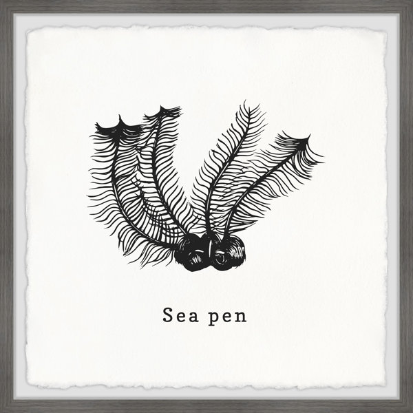 Highland Dunes Jenni " Sea Pen " by Marmont Hill on - Wayfair Canada