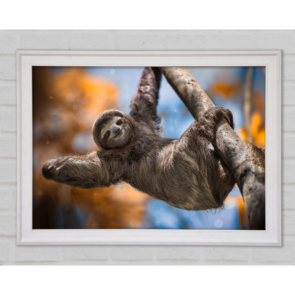 Union Rustic Sloth Hanging From A Tree - Single Picture Frame Art ...