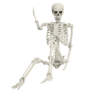 Trinx 5.4FT Poseable Skeleton Prop Life Size Plastic Halloween Human ...