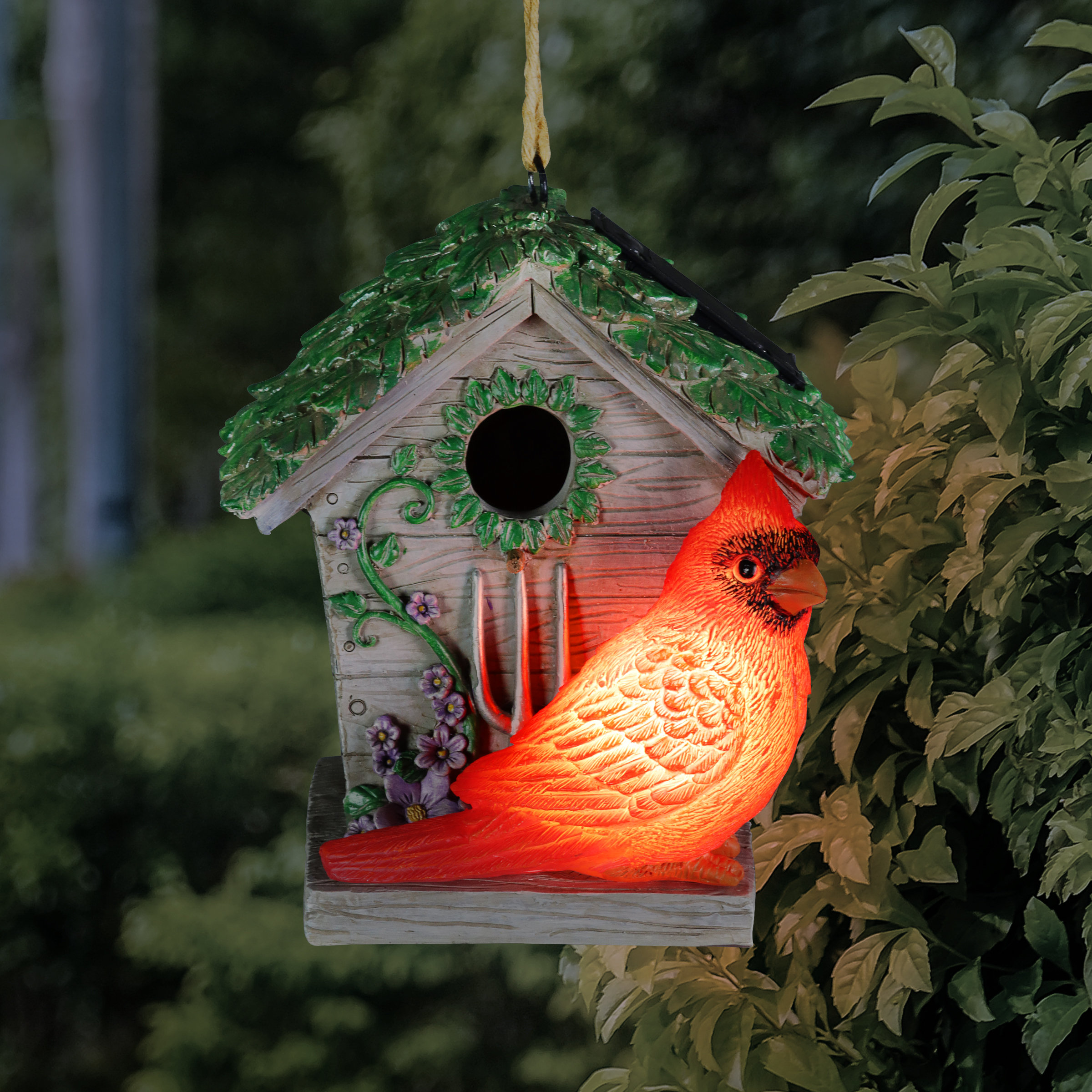 Exhart Solar Cardinal Hanging Bird House, 6 by 8 Inches & Reviews | Wayfair