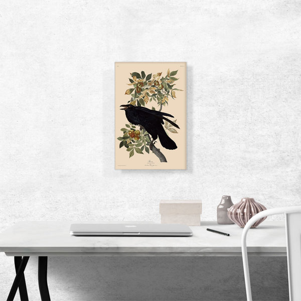 ARTCANVAS Raven Canvas Art Print By John James Audubon | Wayfair