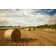 Brambly Cottage Straw Bales by Gollykim - Print | Wayfair.co.uk
