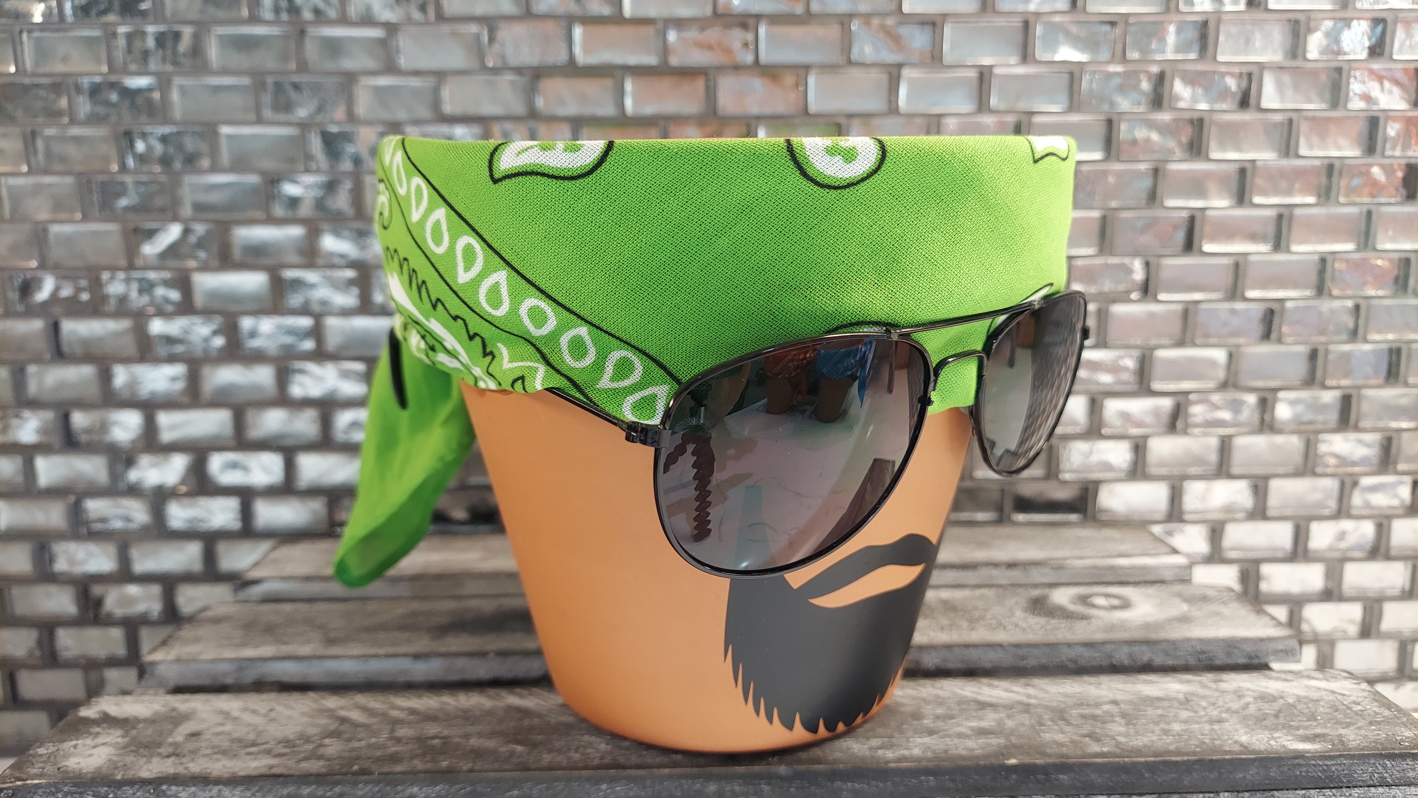 Sassy Soul Sister, pot à fleurs avec lunettes, pot à fleurs avec ...